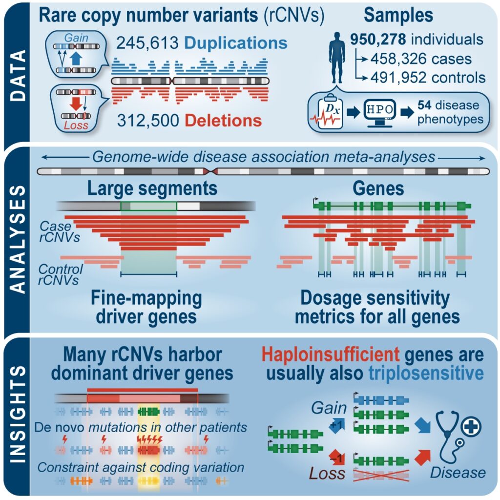 A cross-disorder dosage sensitivity map of the human genome – Talkowski ...