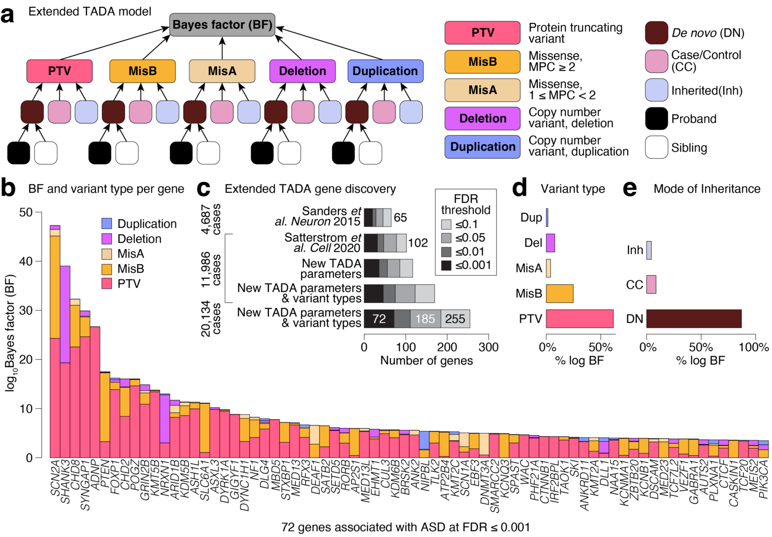 Rare Coding Variation Provides Insight into the Genetic Architecture ...